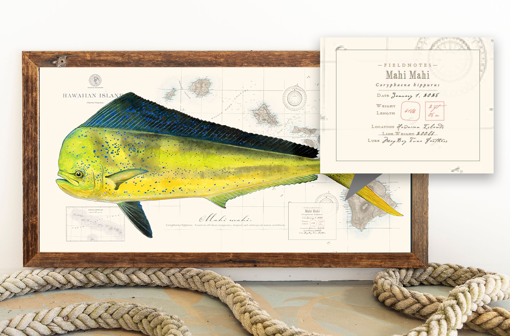Trophy Fish - Hawaiian Islands - Studio Abachar