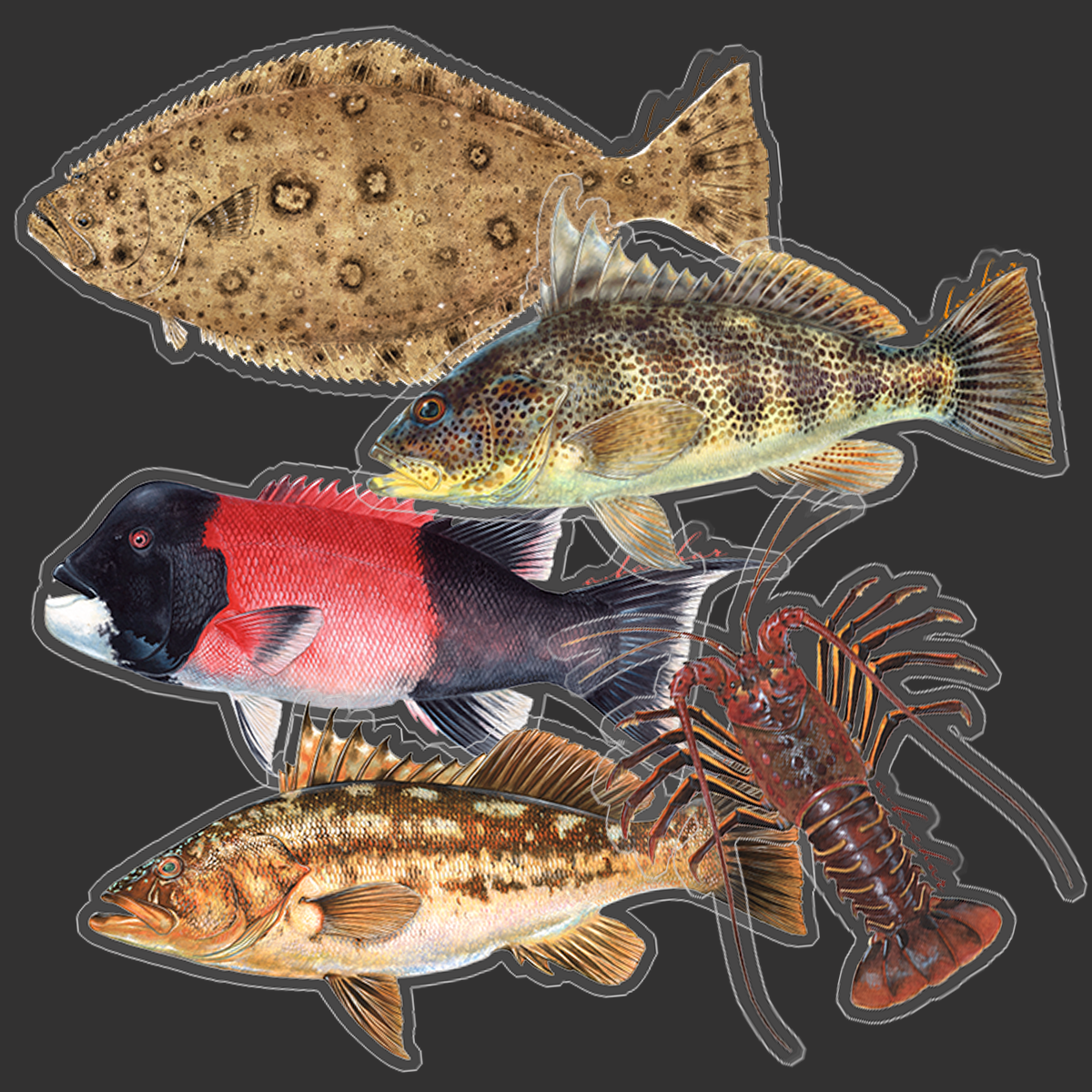 Socal Fish Stickers pack | Quality Fish Decals by Abachar Studio