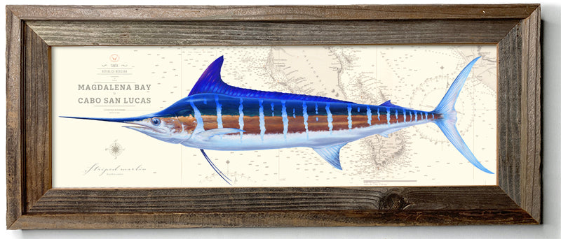 Swordfish Art “Swordfish Over Vintage Nautical Charts” drawing
