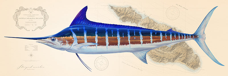 Swordfish Art “Swordfish Over Vintage Nautical Charts” drawing