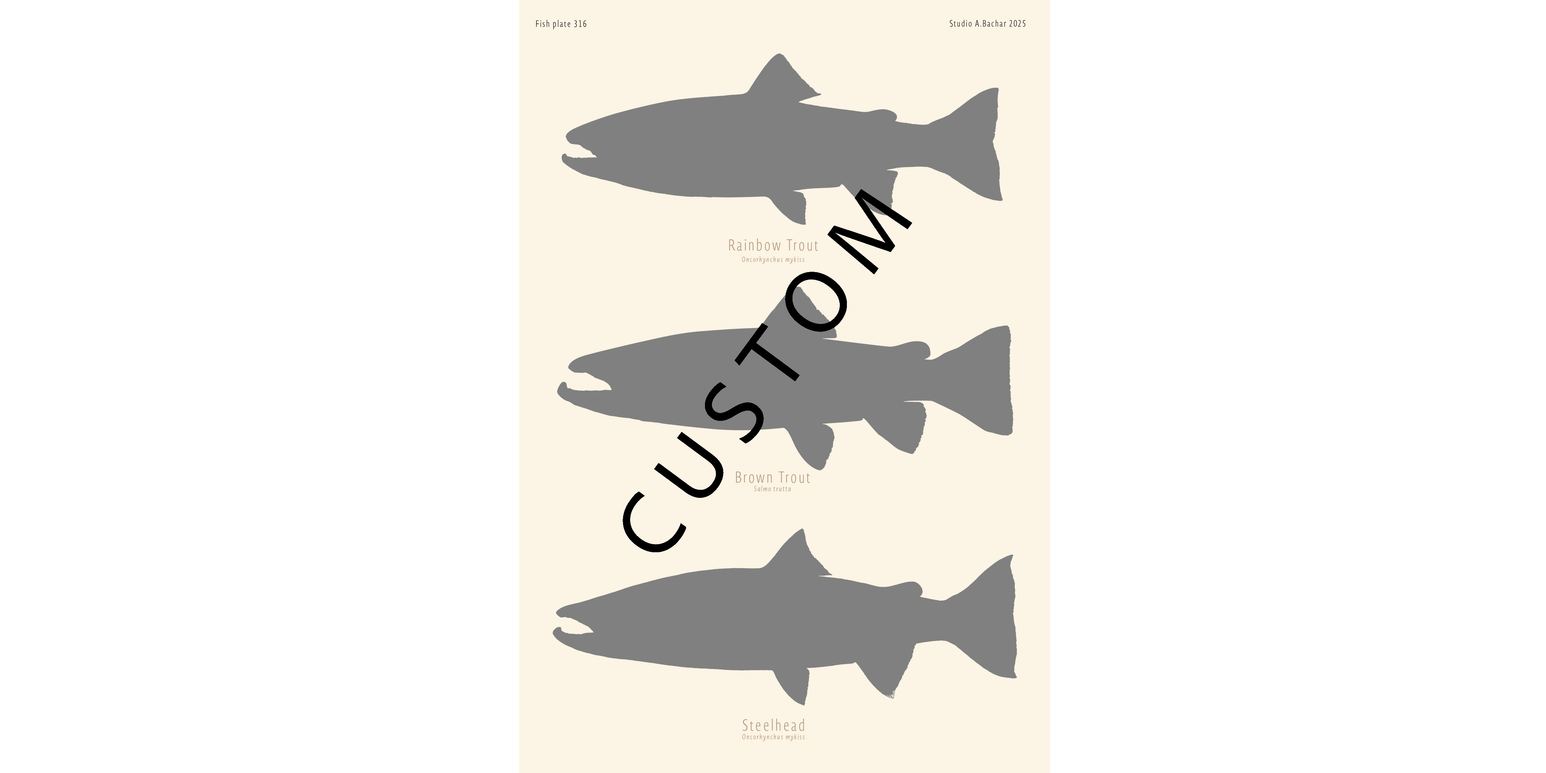 Custom Fish Slam - Freshwater - Studio Abachar
