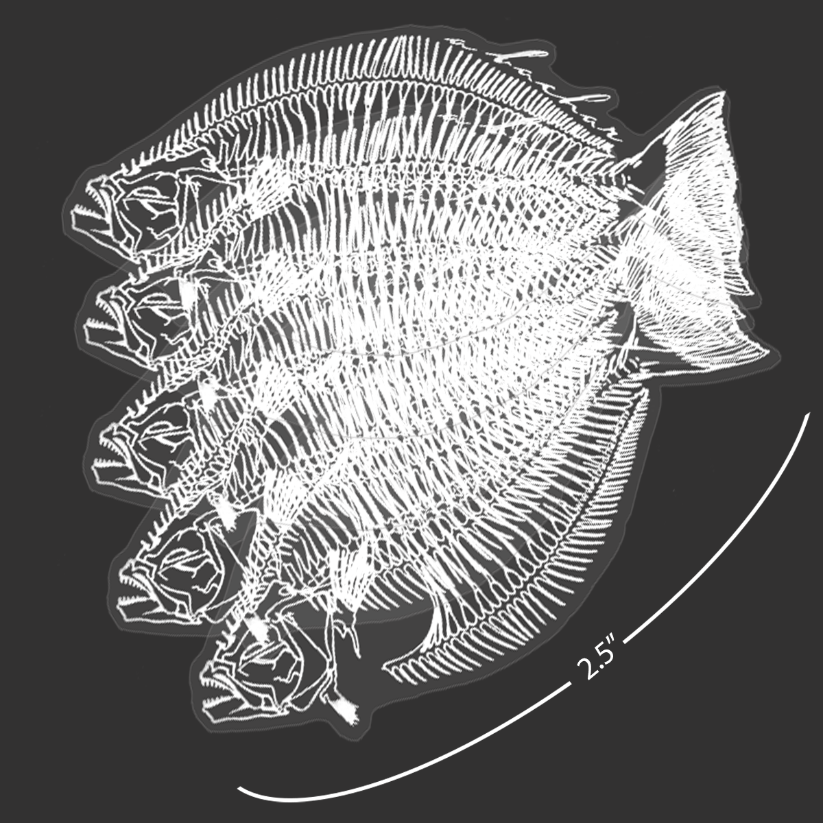 Mini Halibut Skeleton Stickers (Pack of 5) - Studio Abachar