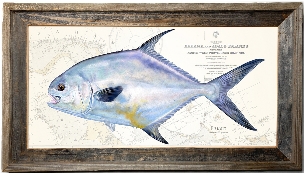 Permit Over Nautical Charts - Studio Abachar