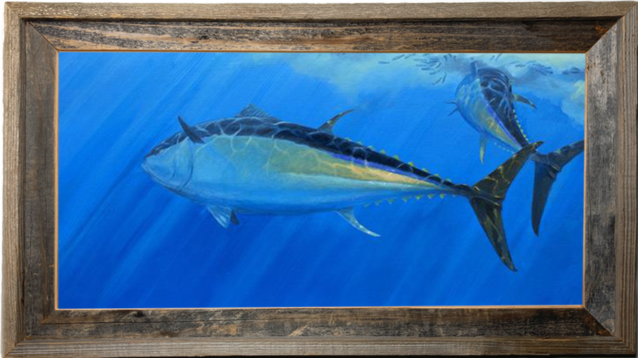 Bluefin tuna art |“Pair of Bluefin Tuna” illustration prints by Studio ...