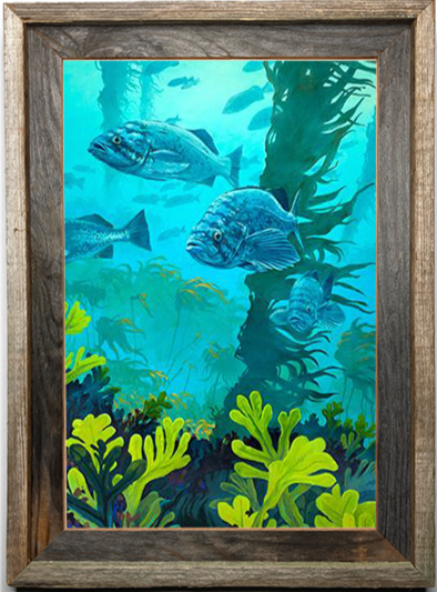 Pacific fish art | Original Blue Rockfish in kelp bed illustration ...