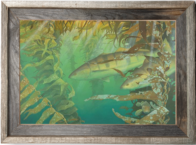 Guy Harvey Tarpon Paintings