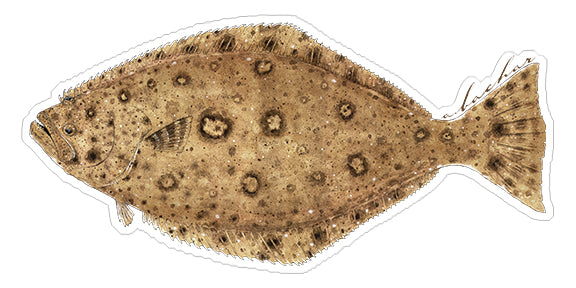 Fish Stickers | Vinyl Halibut 7.5” Fish Decals by Studio Abachar