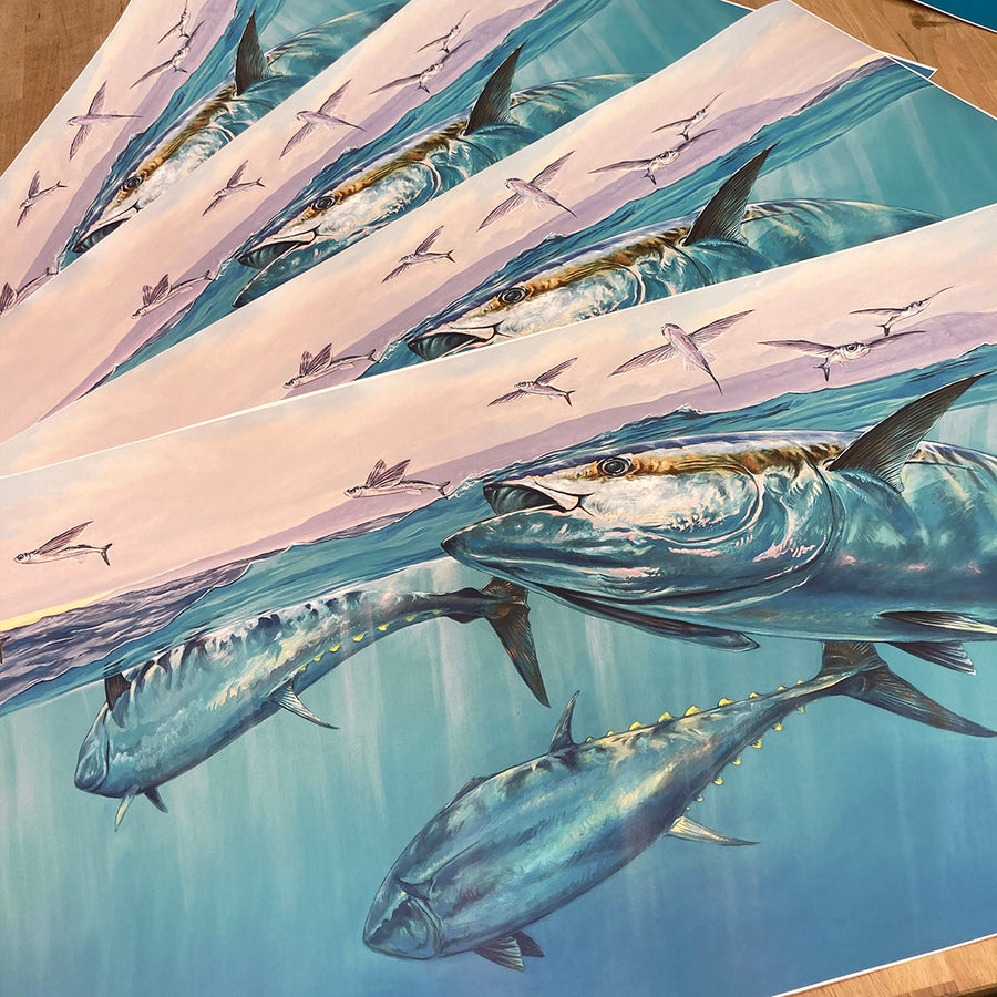 flying fish drawing art |“San Clemente Flyers Artists proofs ...
