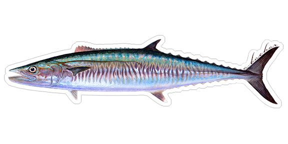 fish Stickers art | Kingfish 8” Vinyl Stickers decals by Studio Abachar