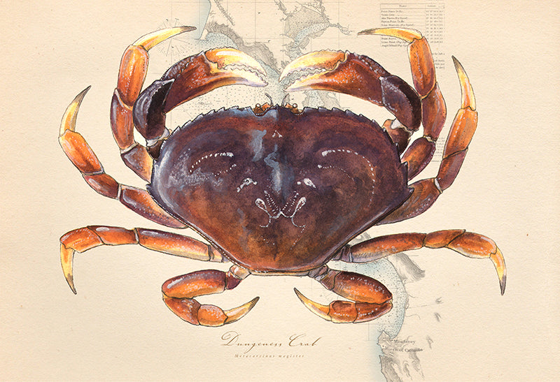 Nautical Crab Art