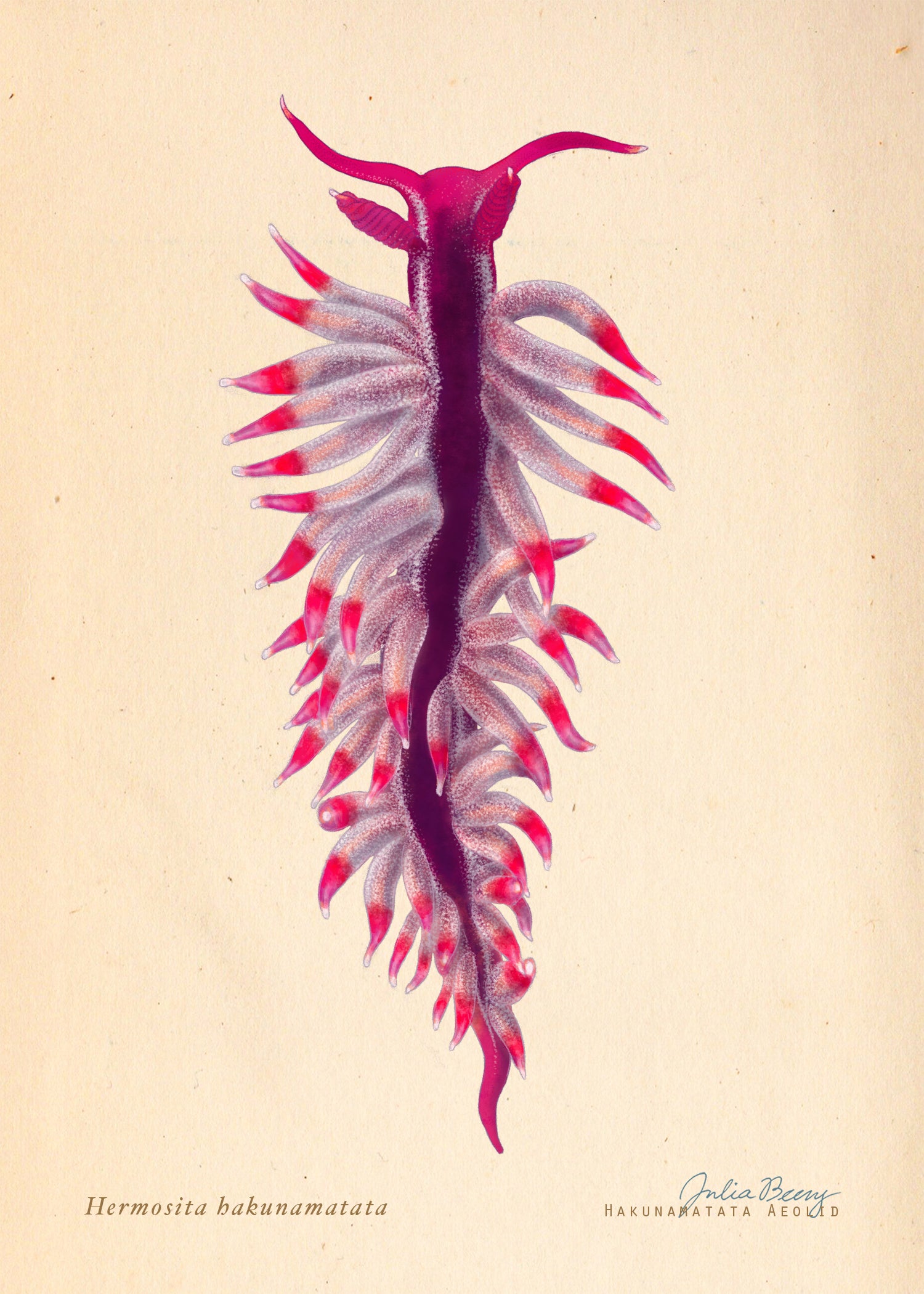 slug Painting art | Bennets Hypselodoris Giclée Print by Julia Beery