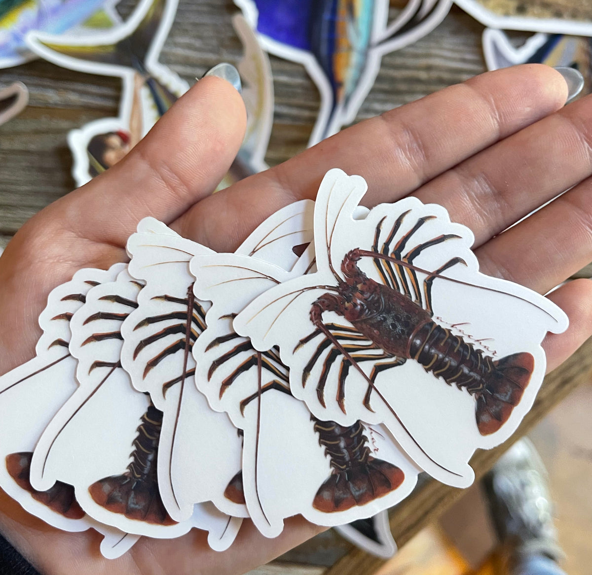 Shop Fish stickers | Mini Lobster Stickers & Decals Pack by Abachar Studio