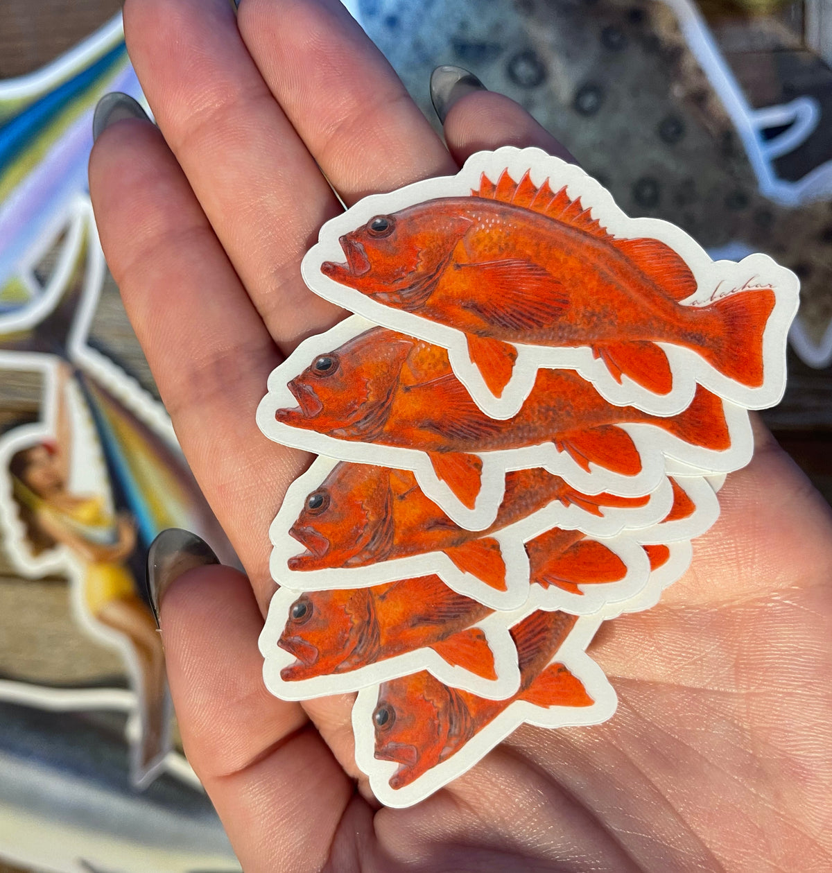 Fish Stickers | Offshore Fish Illustration Stickers | Vinyl Fish Decals