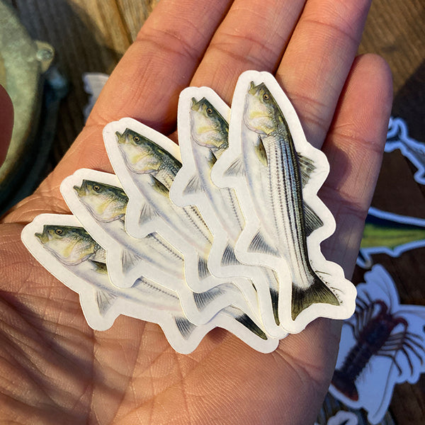 Mini Striper Stickers (Pack of 5) - Studio Abachar