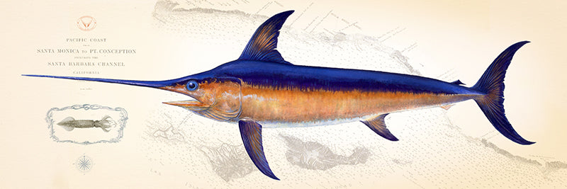 Swordfish Art “Swordfish Over Vintage Nautical Charts” drawing