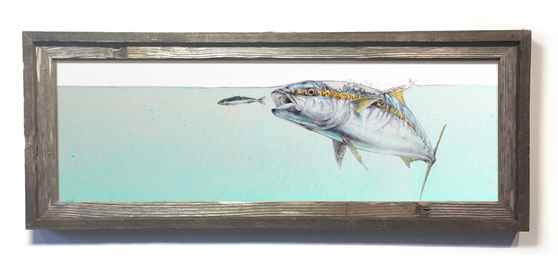 Shop Yellowtail fish Art prints for sale from Abachar Studio